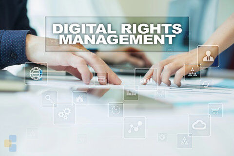 Rights management in ITSM: Flexible control of roles | EcholoN